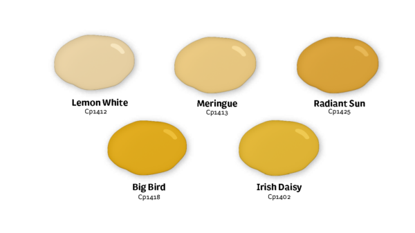 The Ultimate Colour Theory Guide | Fleetwood